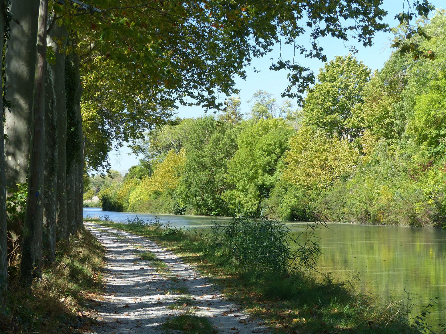Canal Du Midi bike tour | Cycling holiday from Toulouse to Sète